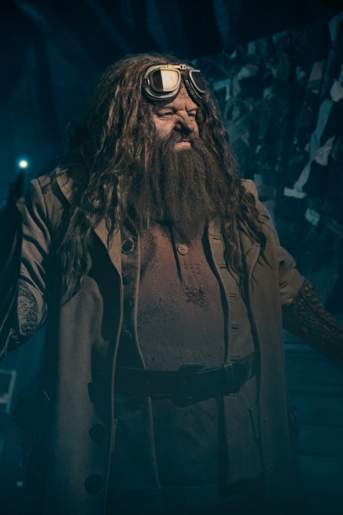 Hagrid será destaque da nova atração no mundo de Harry Potter na ...
